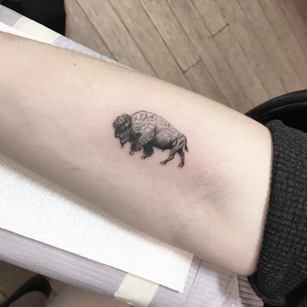 American Bison Tattoo