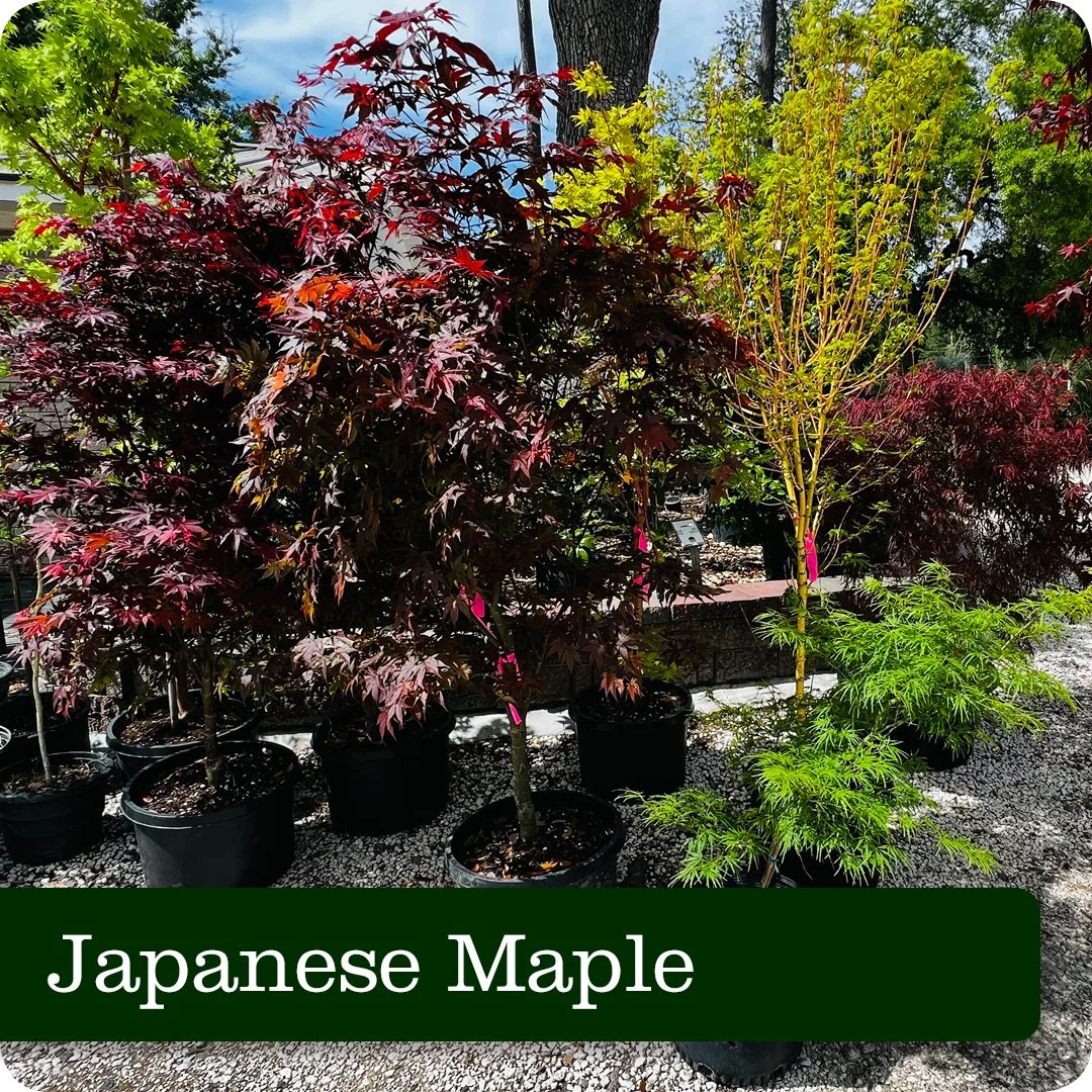 ELMGREN'S GARDEN CENTER