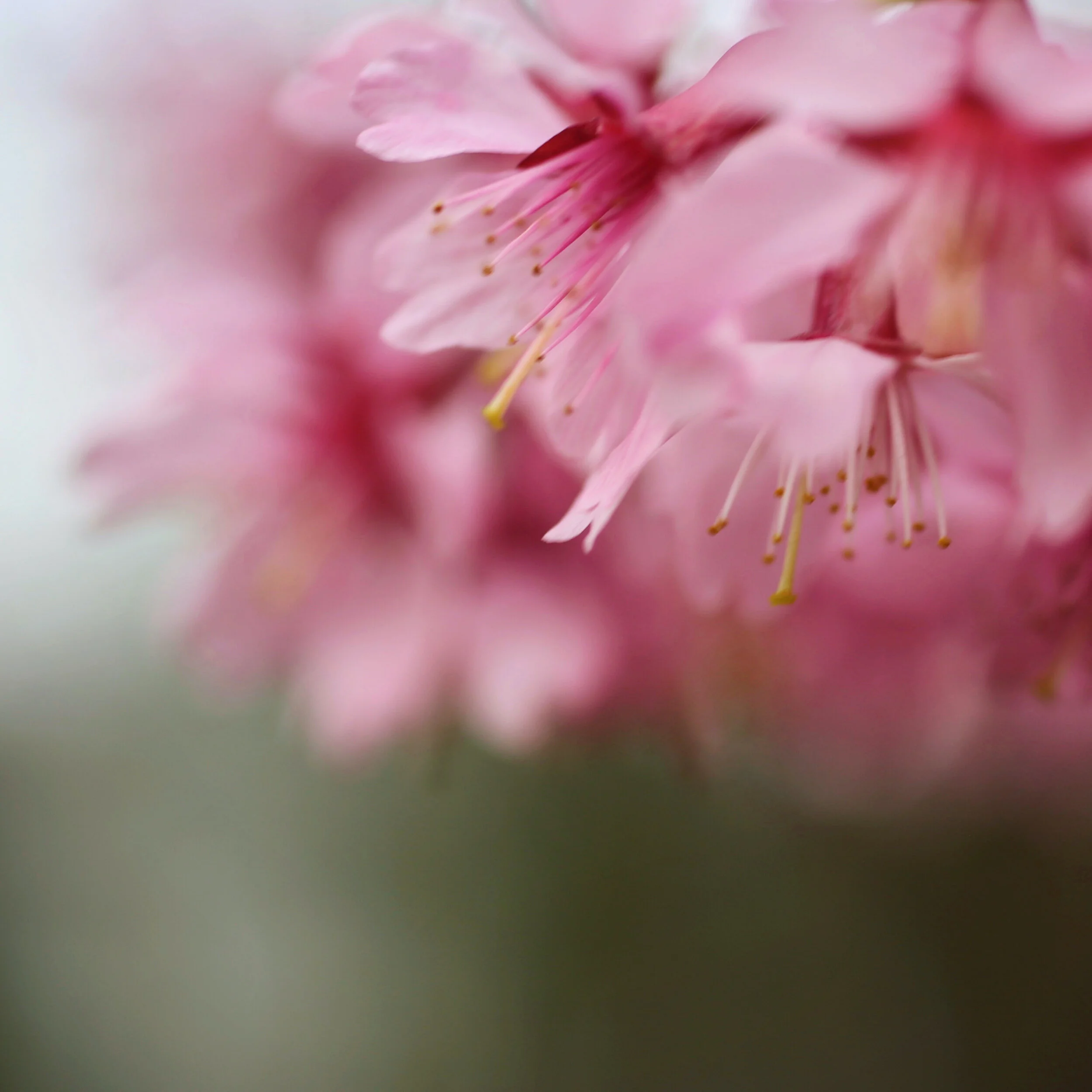 The Light Within — LAG PHOTOGRAPHY