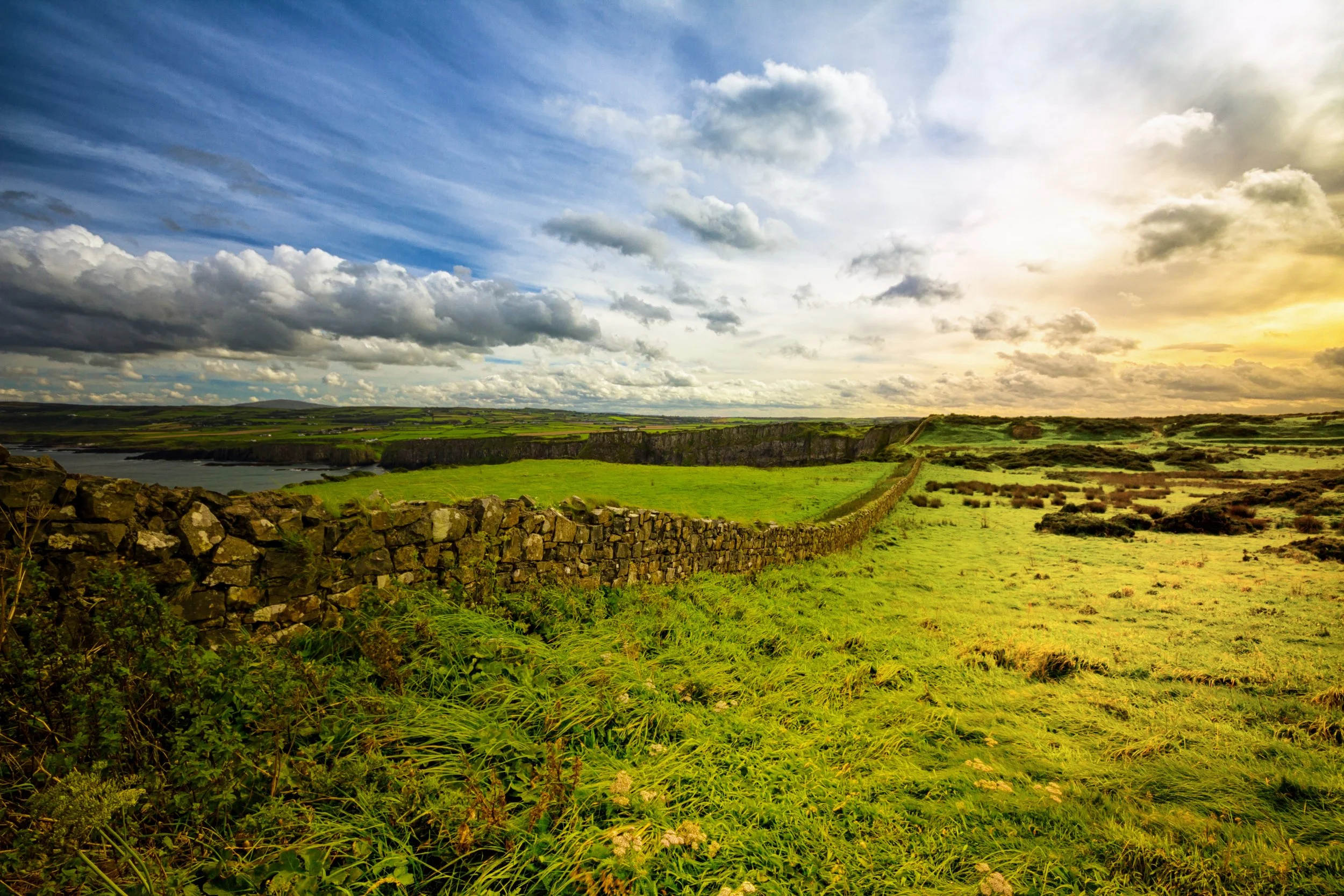 An Taisce — Irish American Partnership