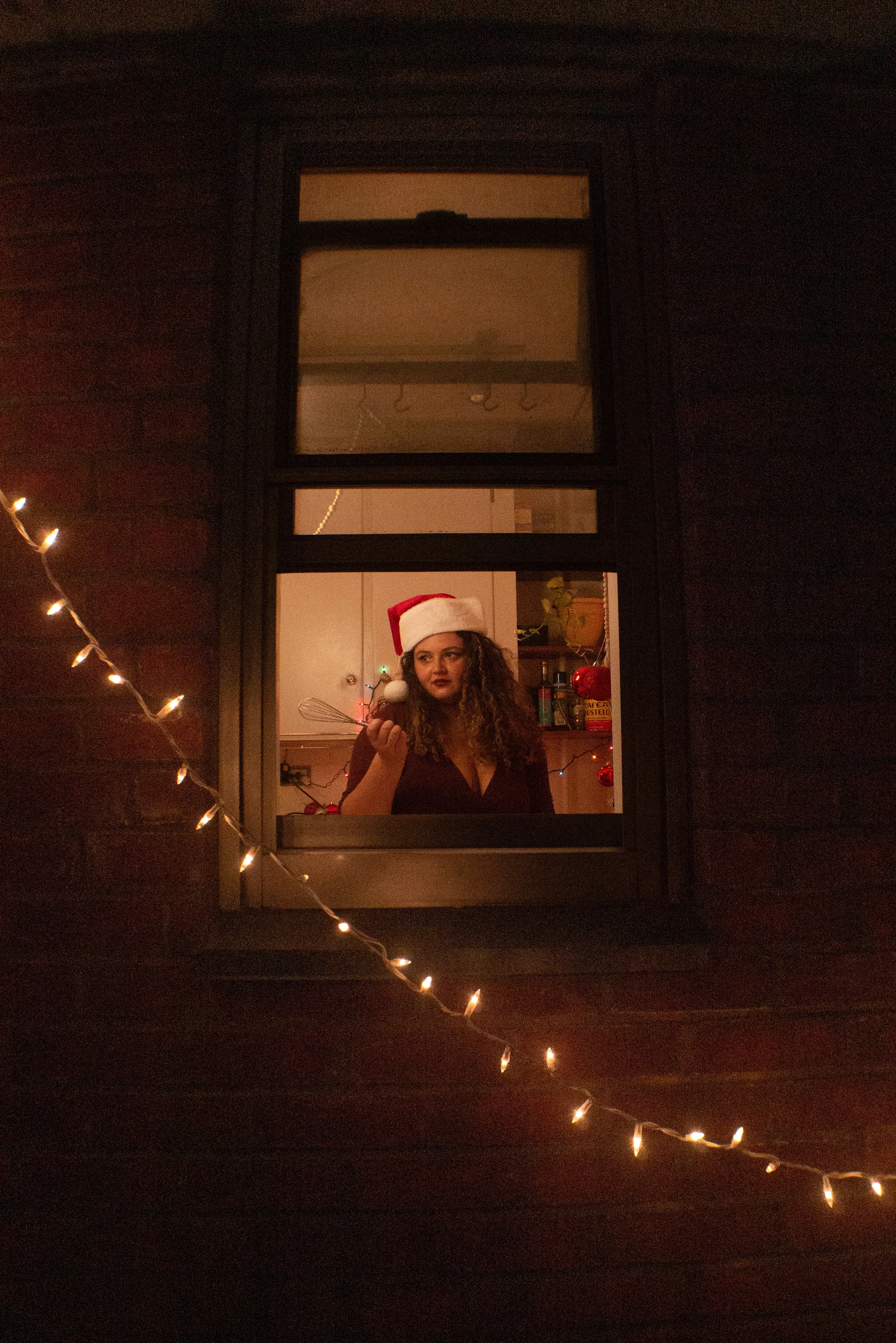 Abuela's Christmas — Rachel Ellen Margolis