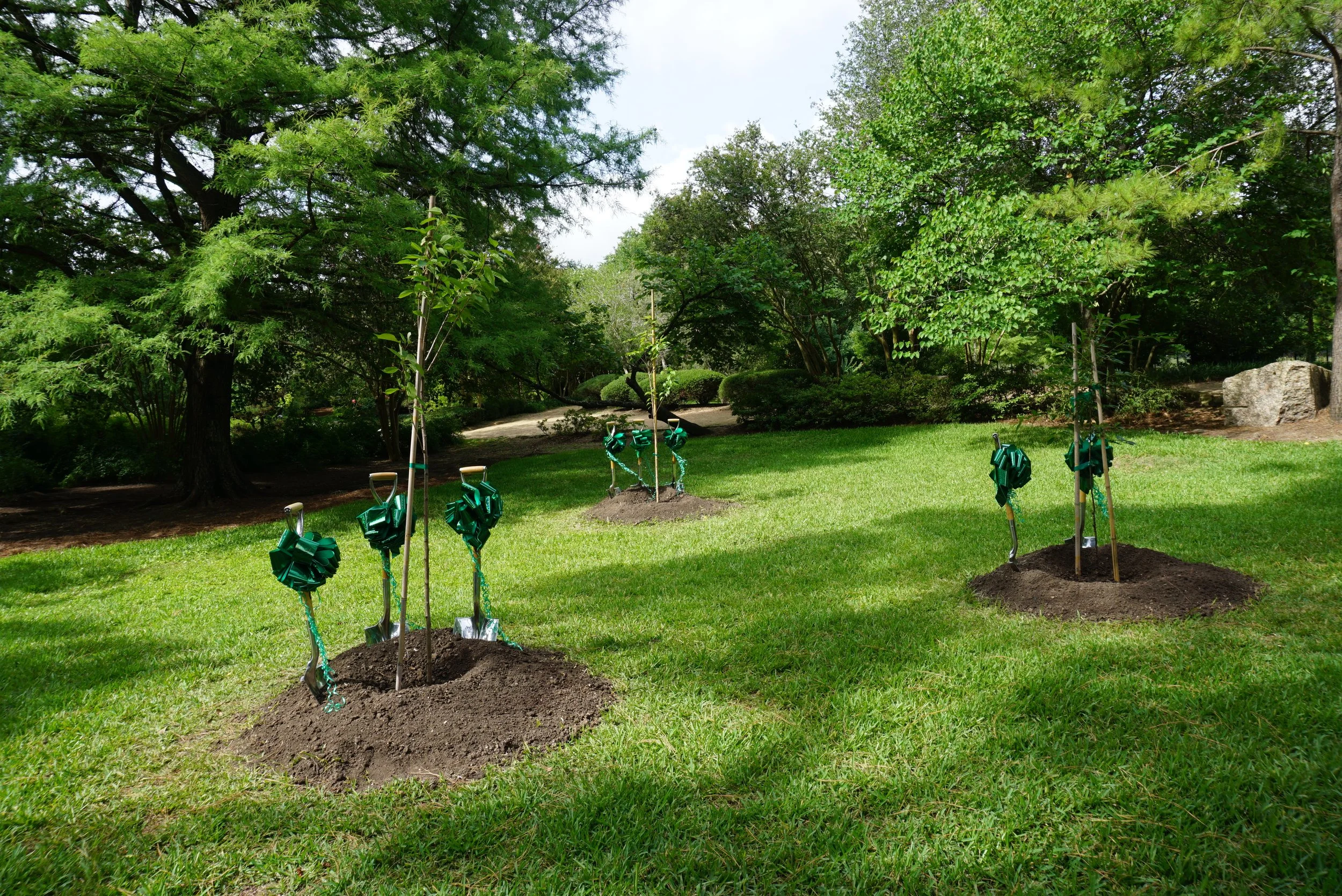 Rotary Plants Friendship Trees in Japanese Garden — Japan-America ...