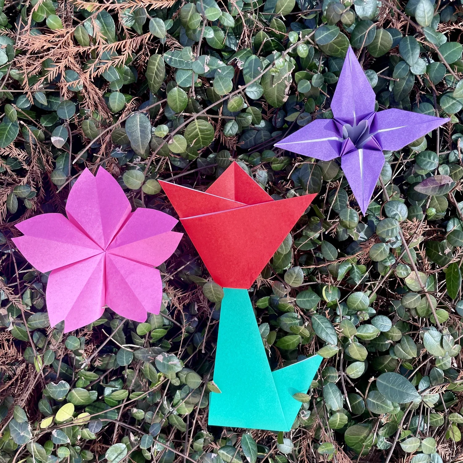 Events — Japan-America Society of Houston