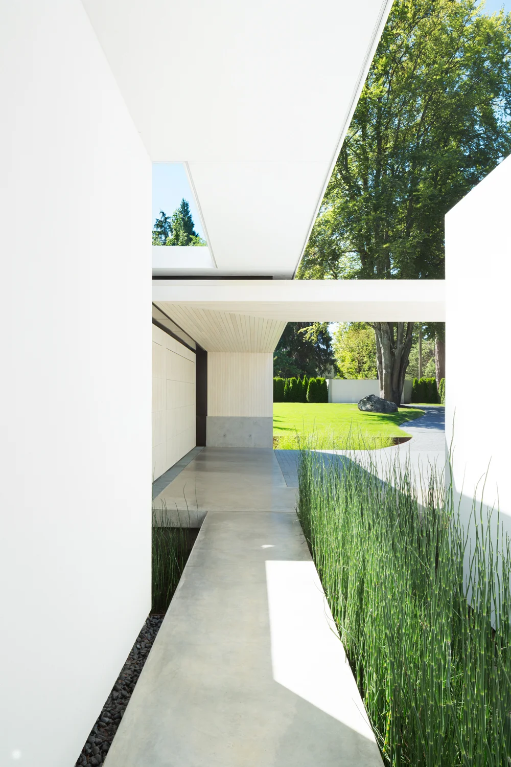 Yan House — D'Arcy Jones Architects