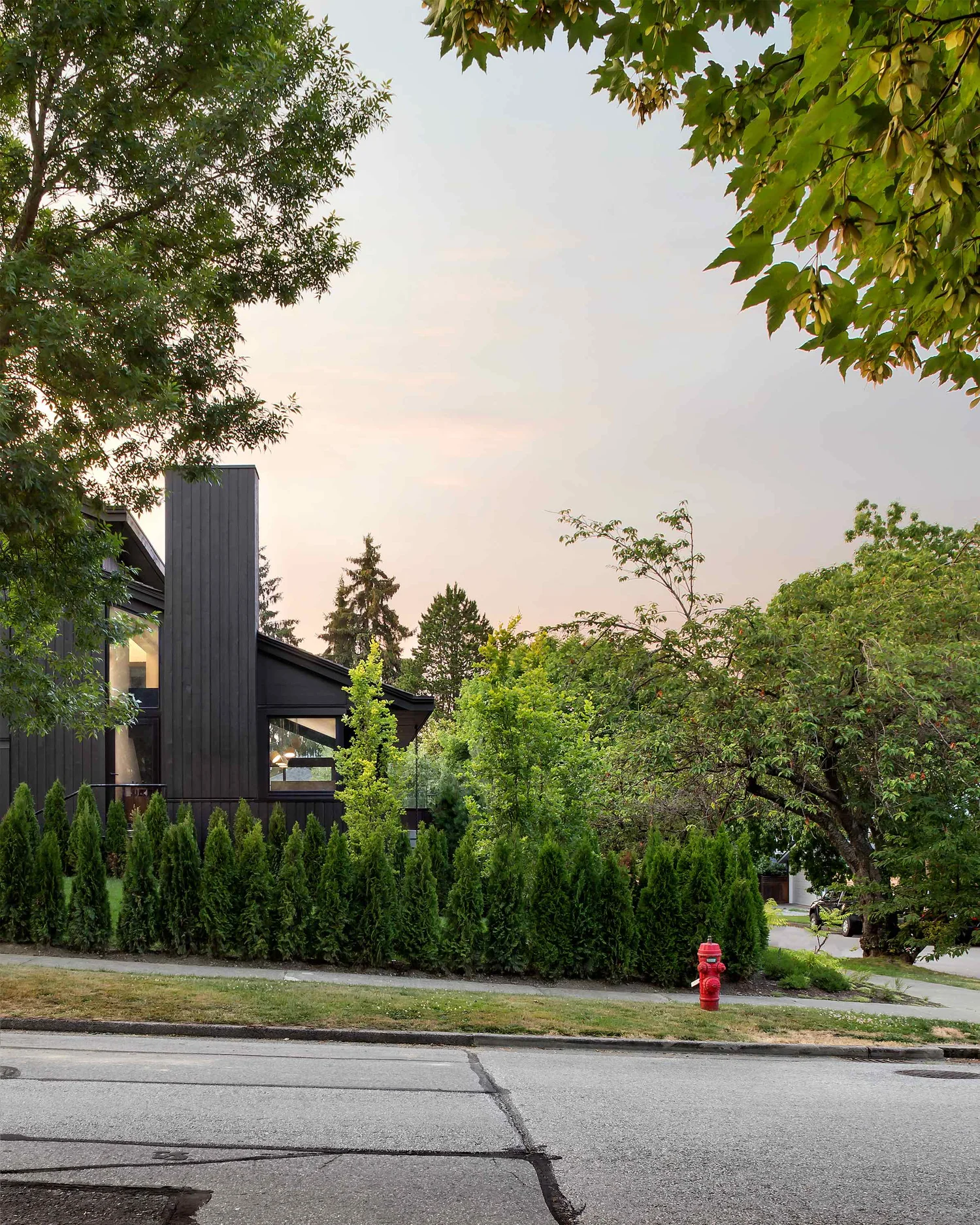 Split Level House — D'Arcy Jones Architects