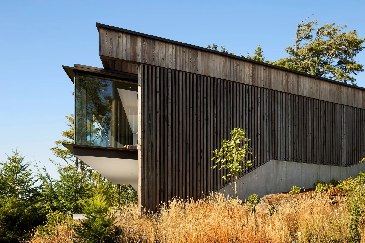 Okada Marshall House — D'Arcy Jones Architects