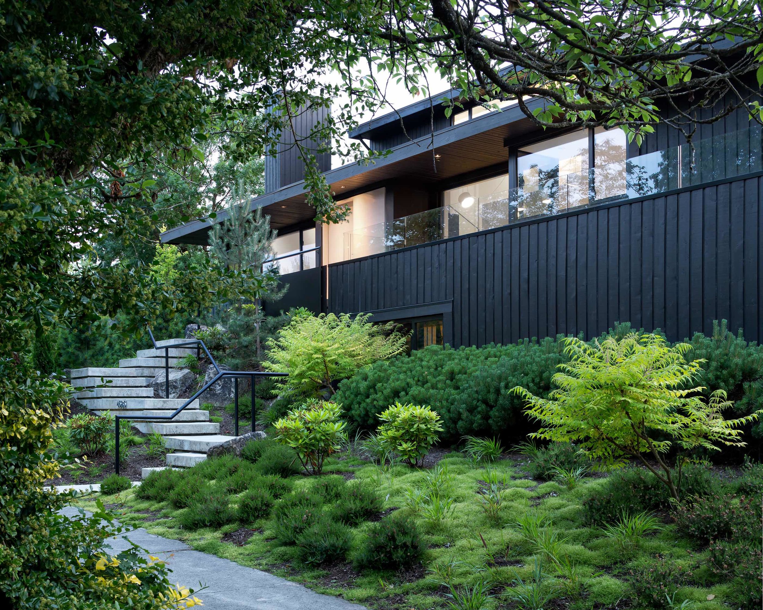 Split Level House — D'Arcy Jones Architects