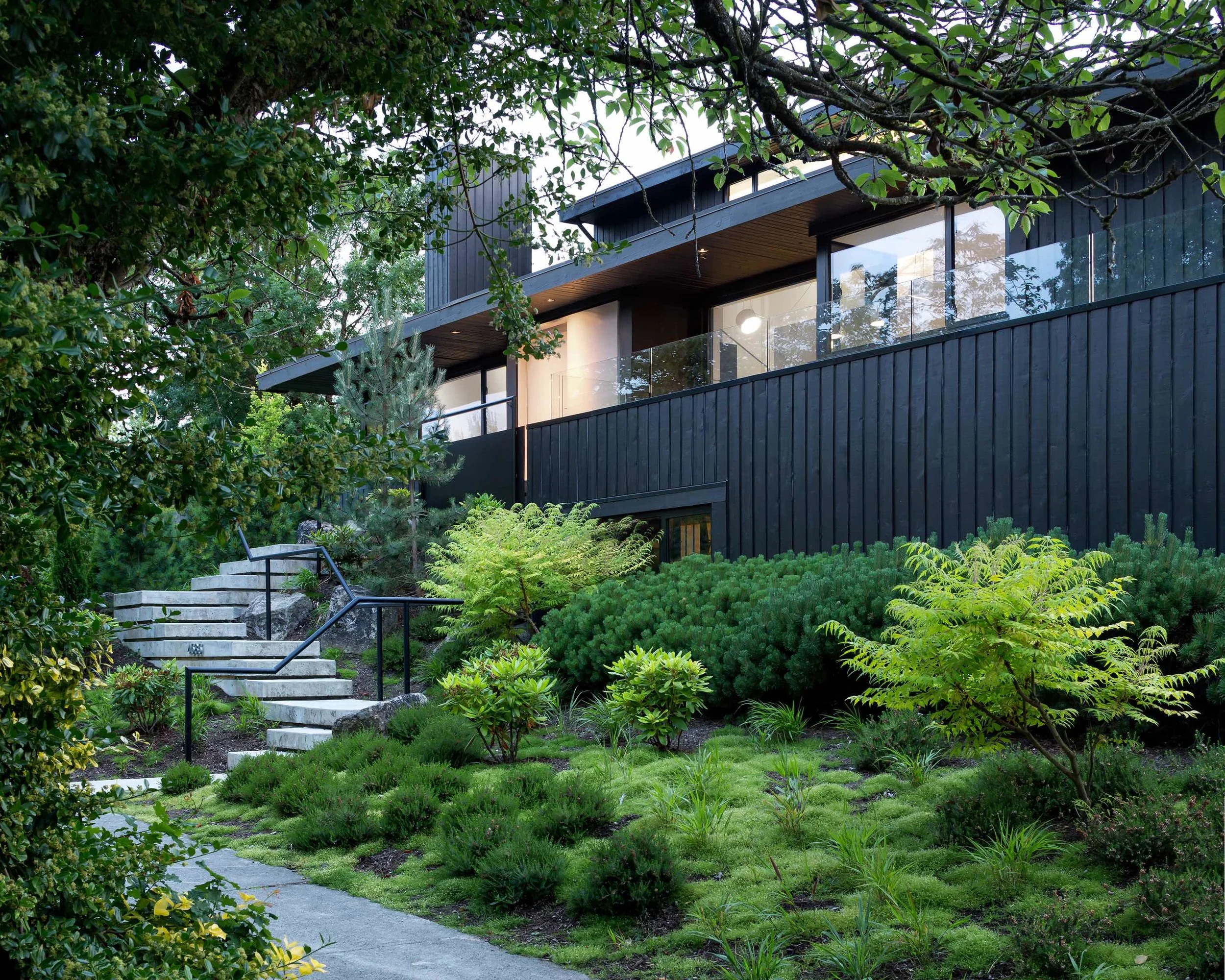 Split Level House — D'Arcy Jones Architects