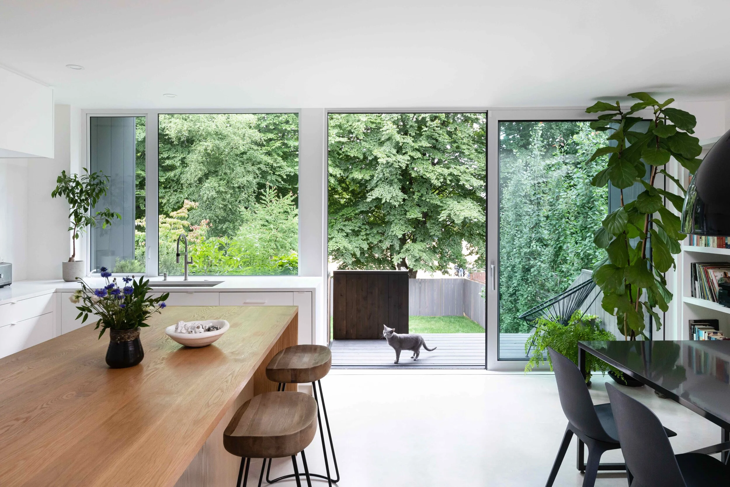 House With Two Bay Windows — D'Arcy Jones Architects