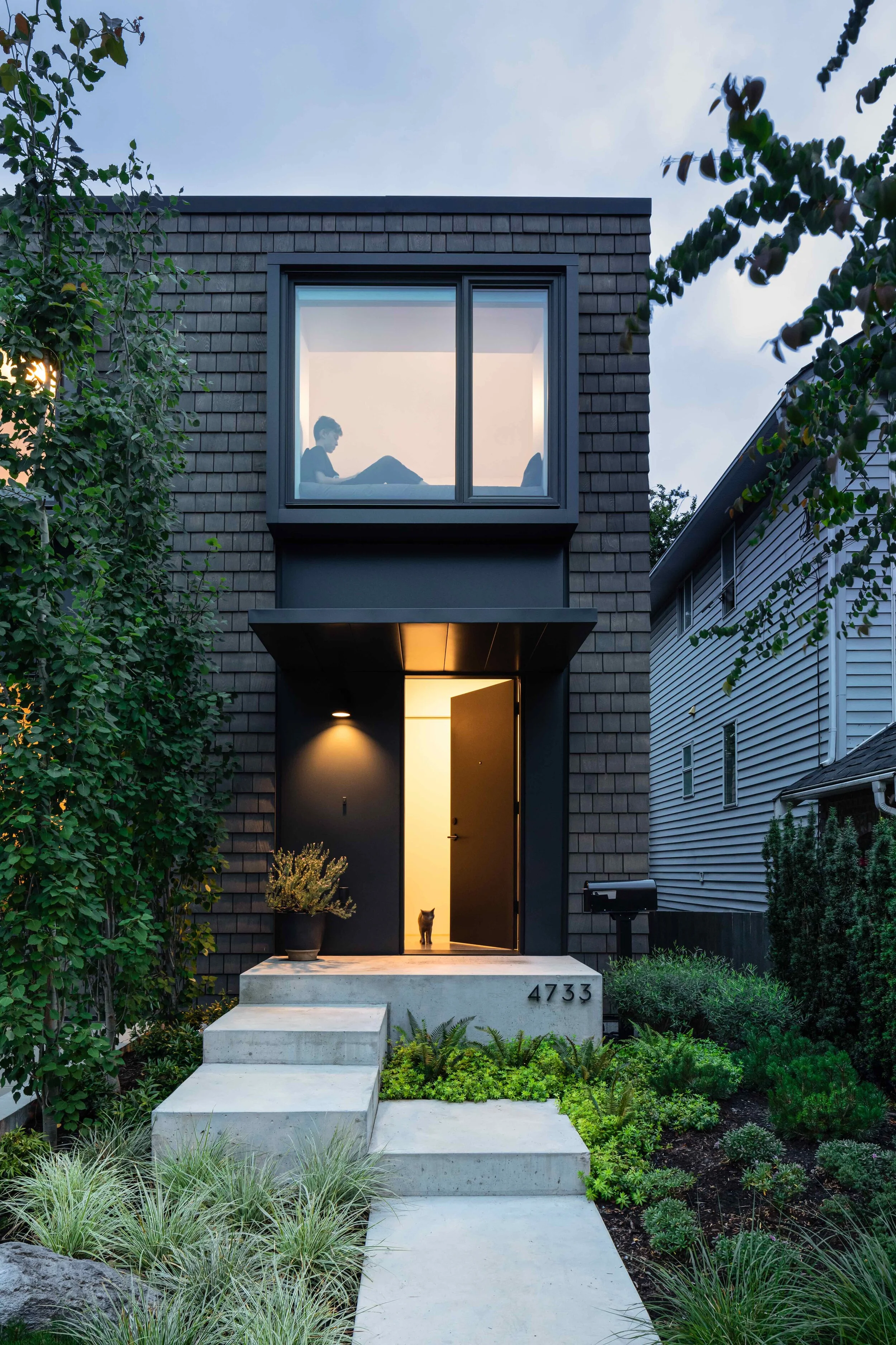 House With Two Bay Windows — D'Arcy Jones Architects
