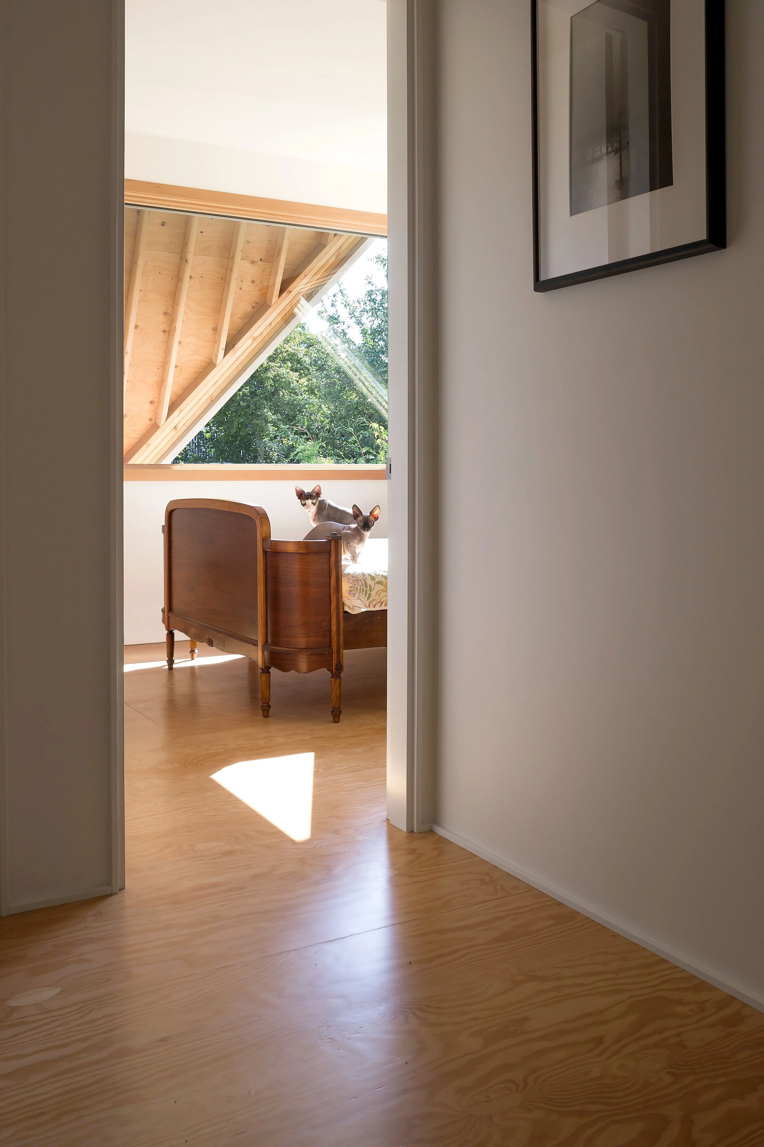 Double Header House — D'Arcy Jones Architects