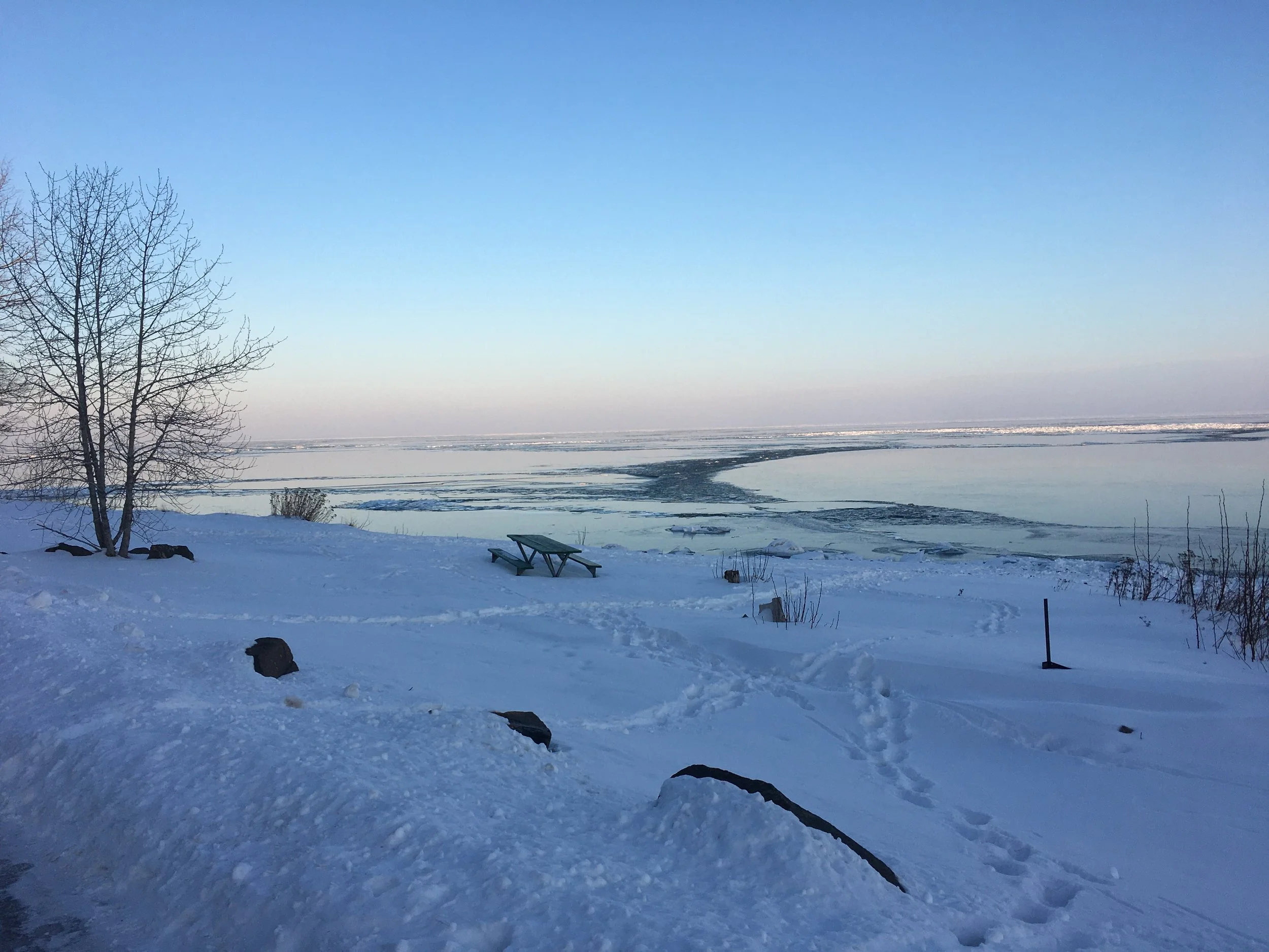 Duluth Lakewalk: Friends of the Lakewalk