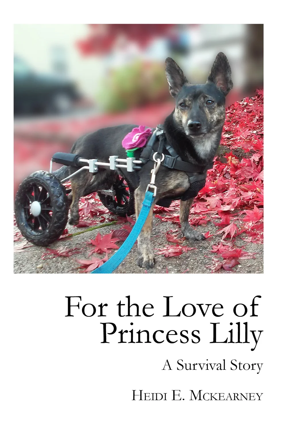 RECENT — Needle & Design