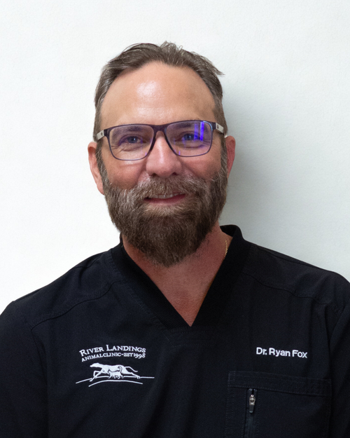 River Landings Animal Clinic in Bradenton, Florida - Veterinarian in ...