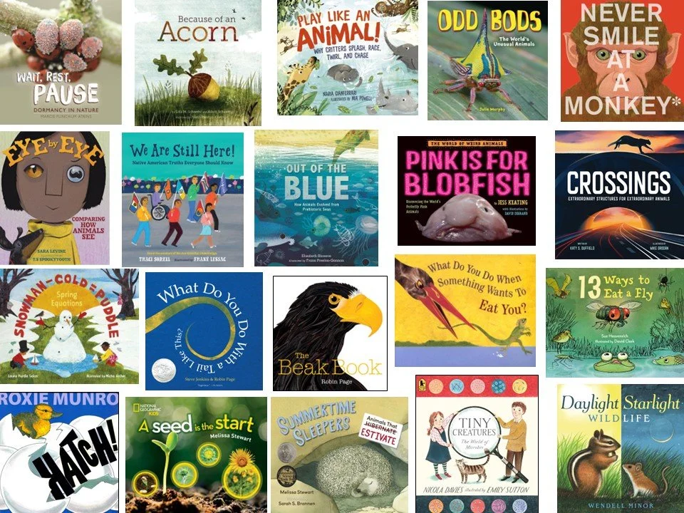 Stefanie Hohl - Blog - Creating Expository Nonfiction Picture Books ...