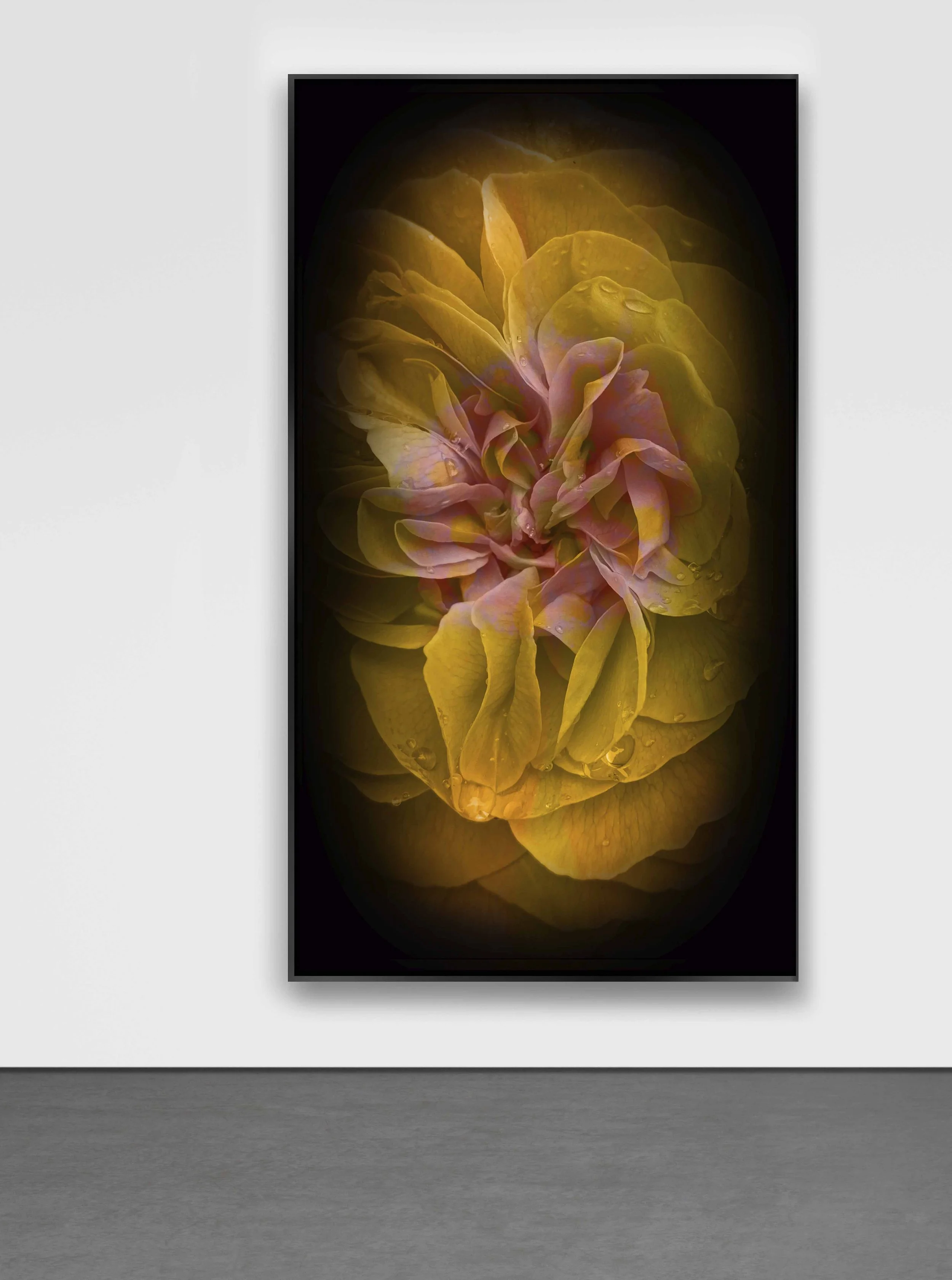 BB living painting 'untitled' - BB21-09 — DAVID GILL GALLERY