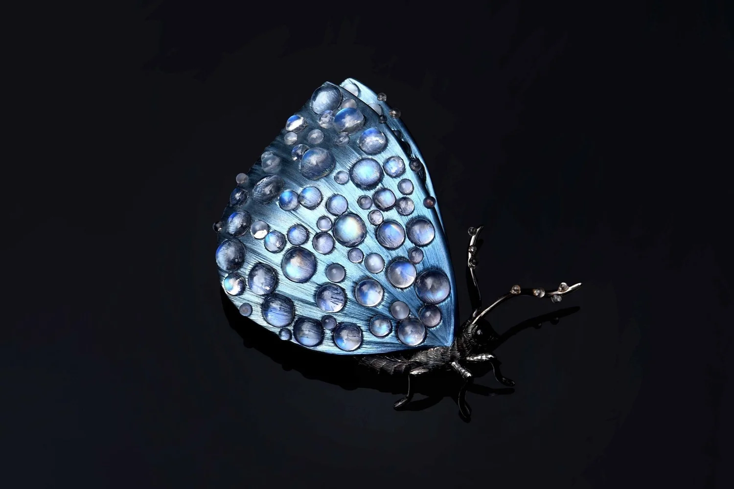 UPCOMING — DAVID GILL GALLERY