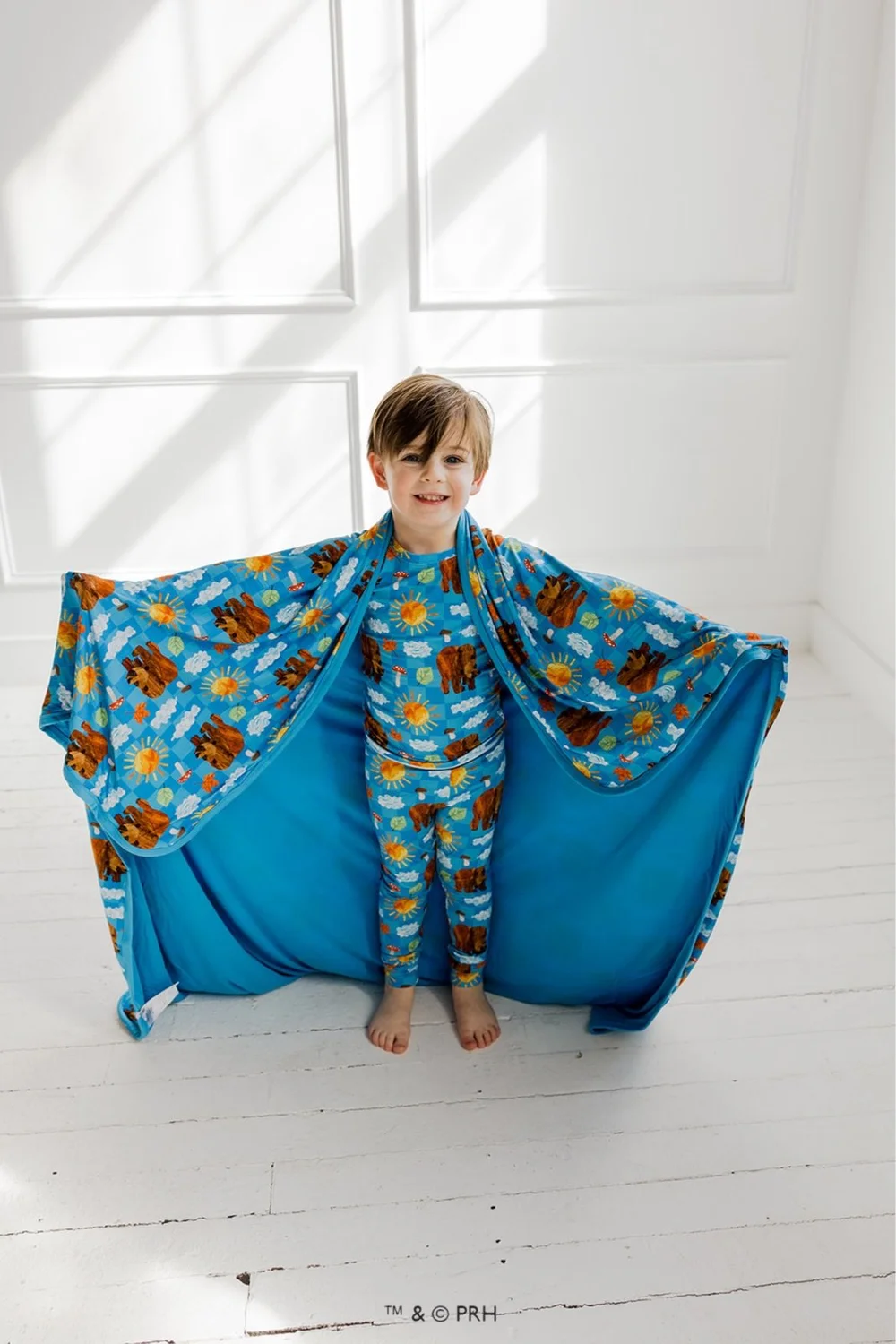 The World of Eric Carle and Dream Big Little Co. Launch Storybook ...
