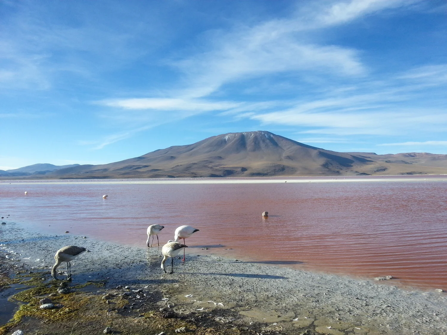 THISWORLDEXISTS - Crossing Borders to Bolivia's Salt Flats: Part One