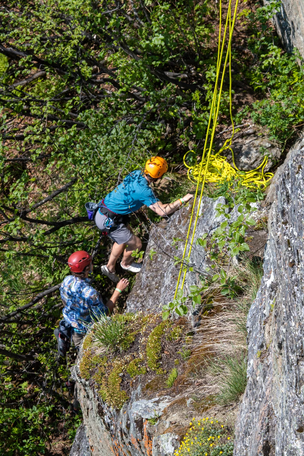 Berry Trail — Valdez Adventure Alliance