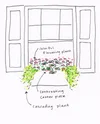 Tips for Beautiful and Low Maintenance Flower Boxes — Texture Design Co.
