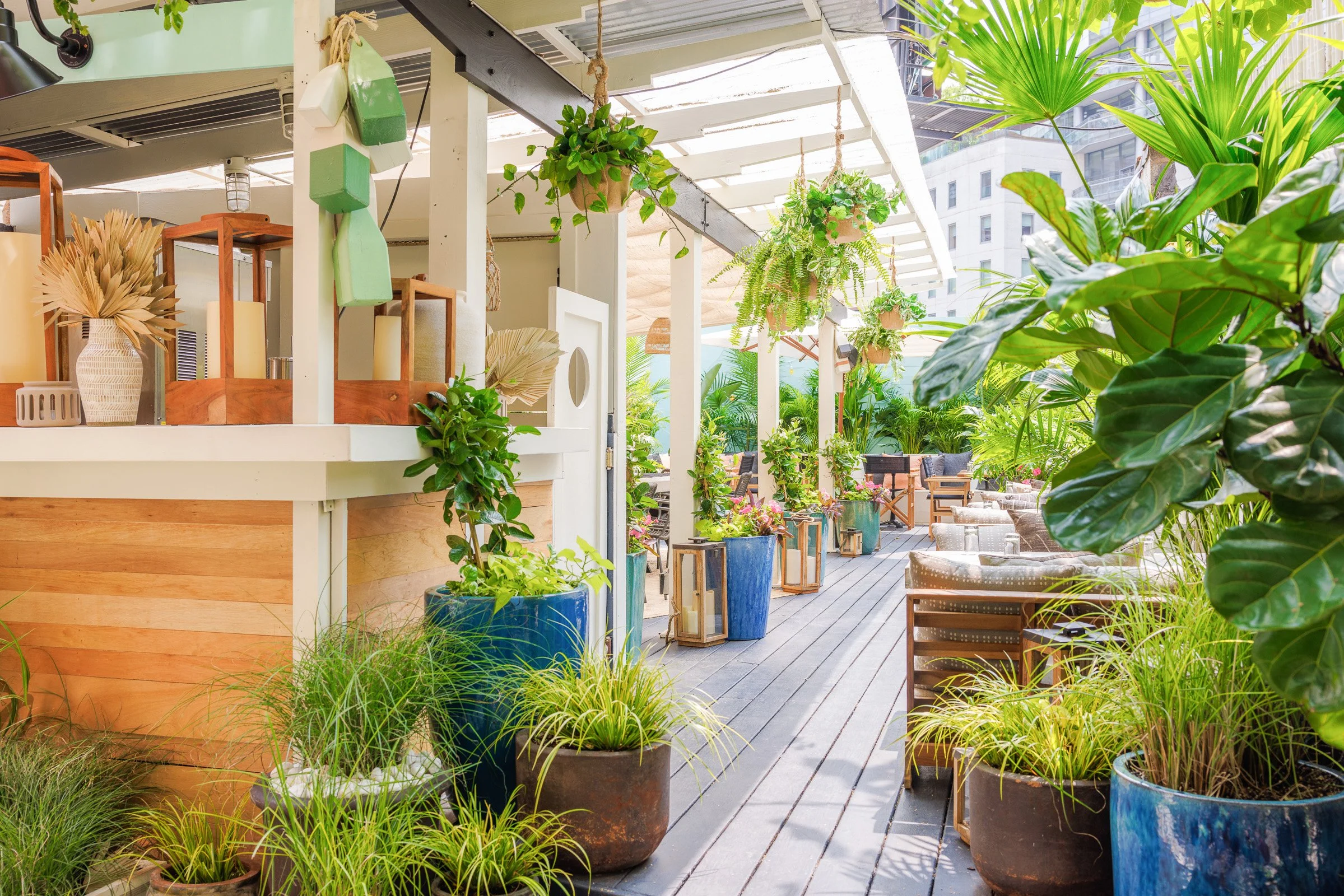 exterior — PROJECTS — Alex Staniloff Studio