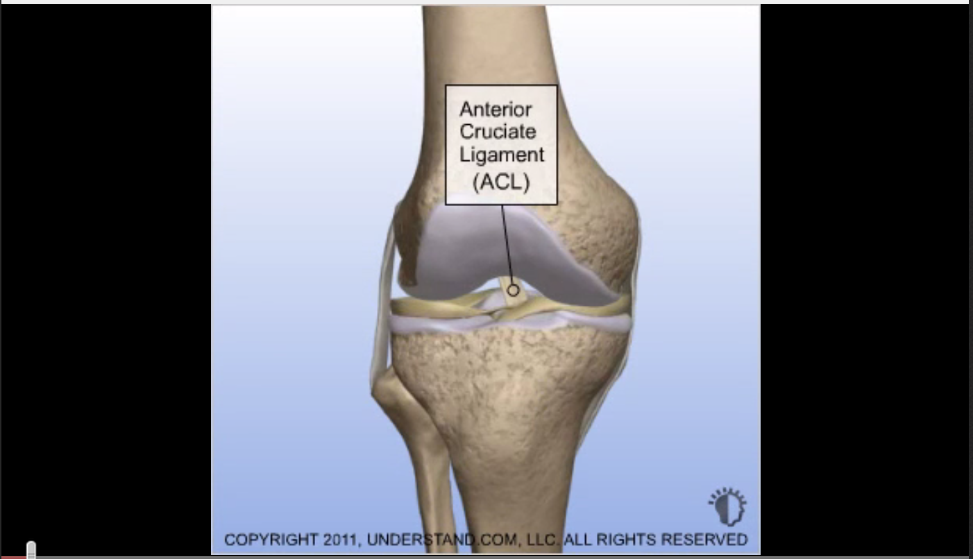 What You Should Do If You Tore Your ACL Last Winter — THE SPORTS ...
