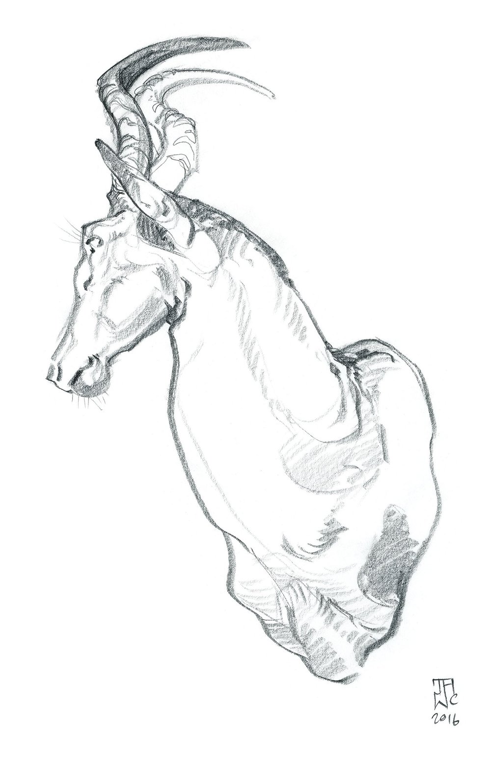 Sketch — J.A.W. Cooper