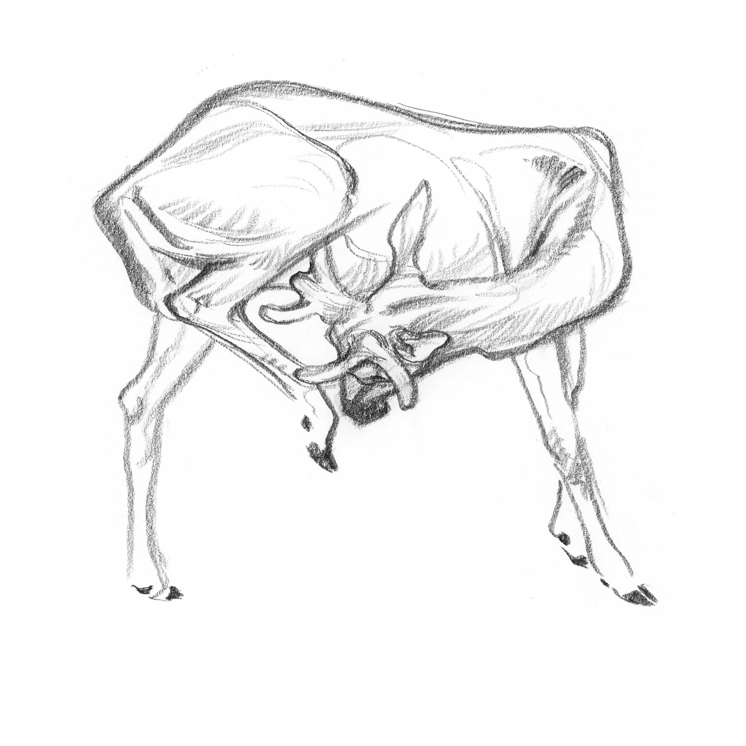 Sketch — J.A.W. Cooper