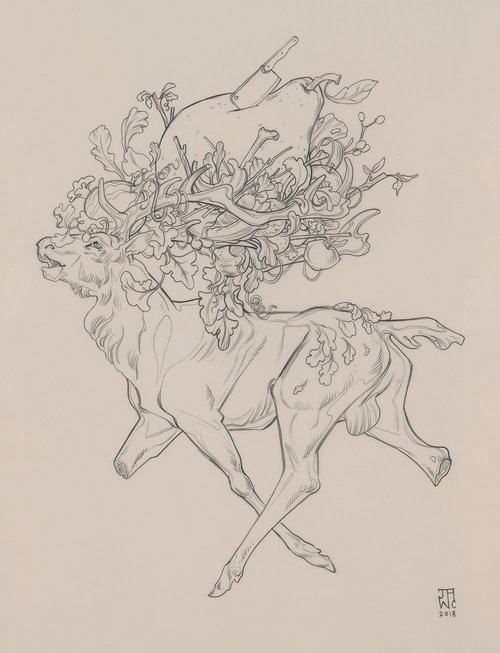 2020-2021 — J.A.W. Cooper