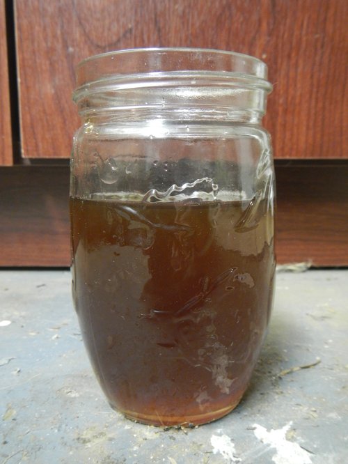 Bigleaf Maple Syrup — Raven's Roots Naturalist School