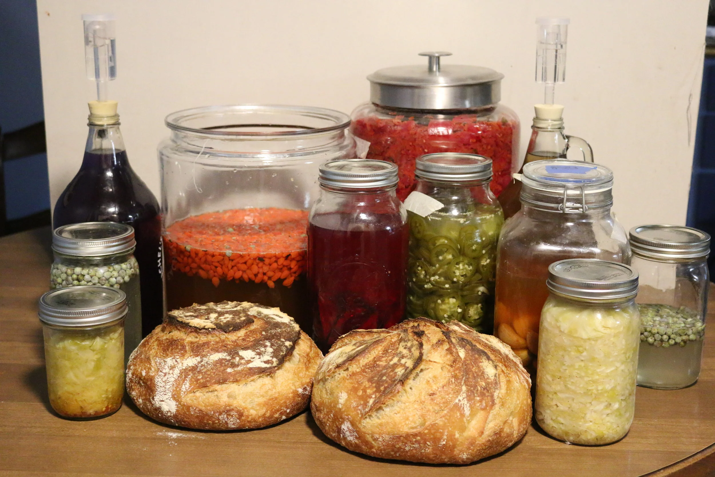 Using Wild Yeasts For Fermenting Foods And Beverages Raven s Roots