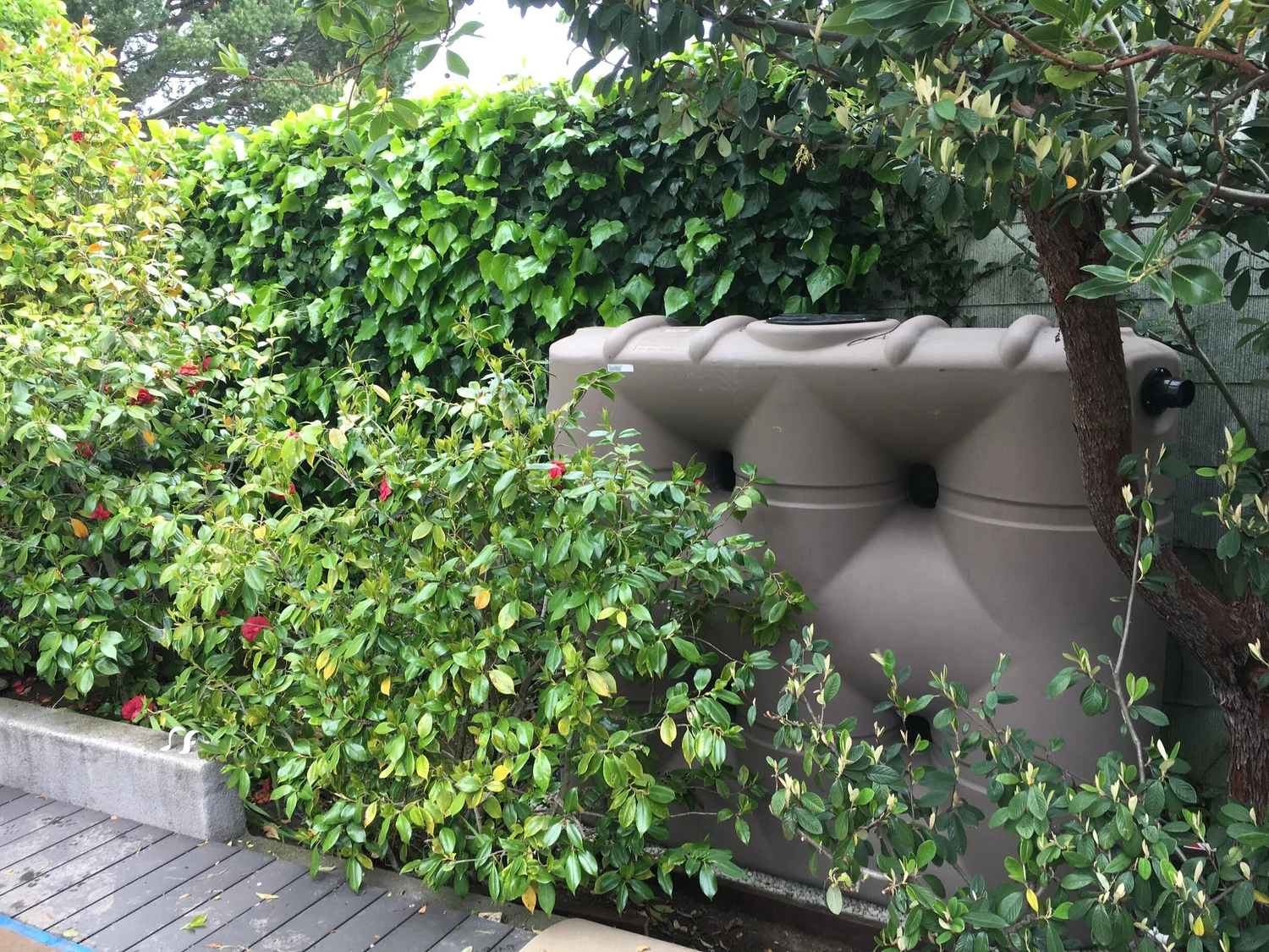 Rainwater Catchment Greywater System | Rainwater Capture System ...