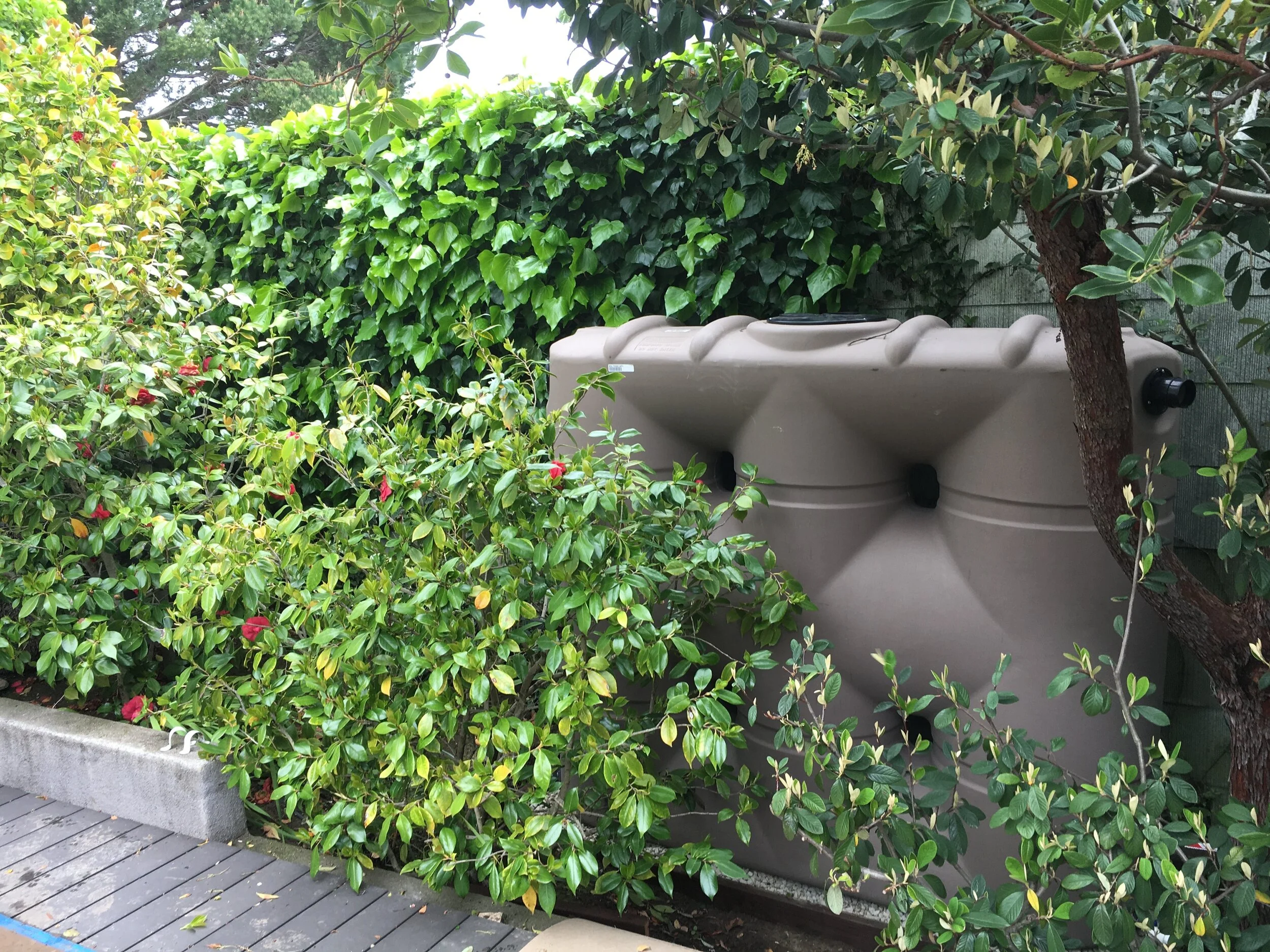 Rainwater Catchment Greywater System | Rainwater Capture System ...