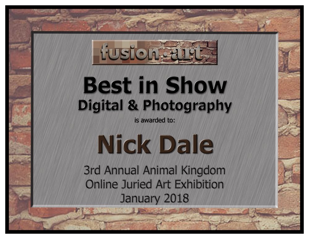 About — Nick Dale Photography
