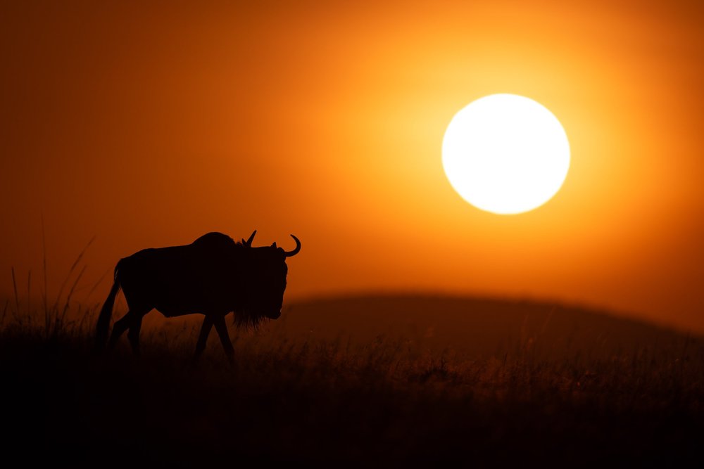 Blog — Nick Dale Photography