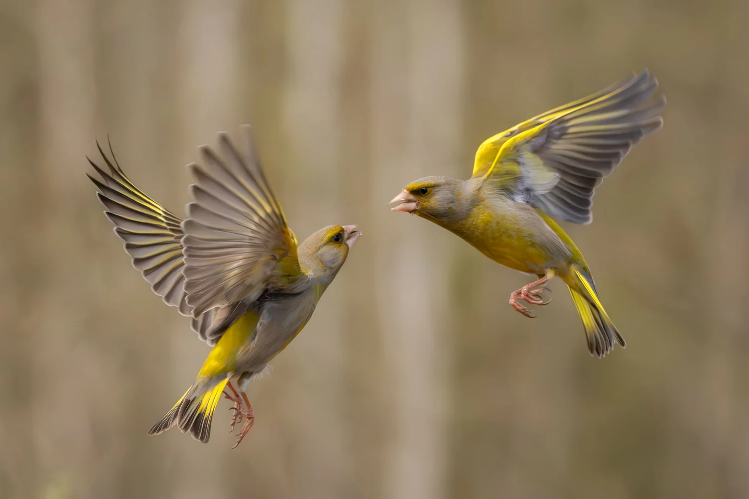Blog — Nick Dale Photography