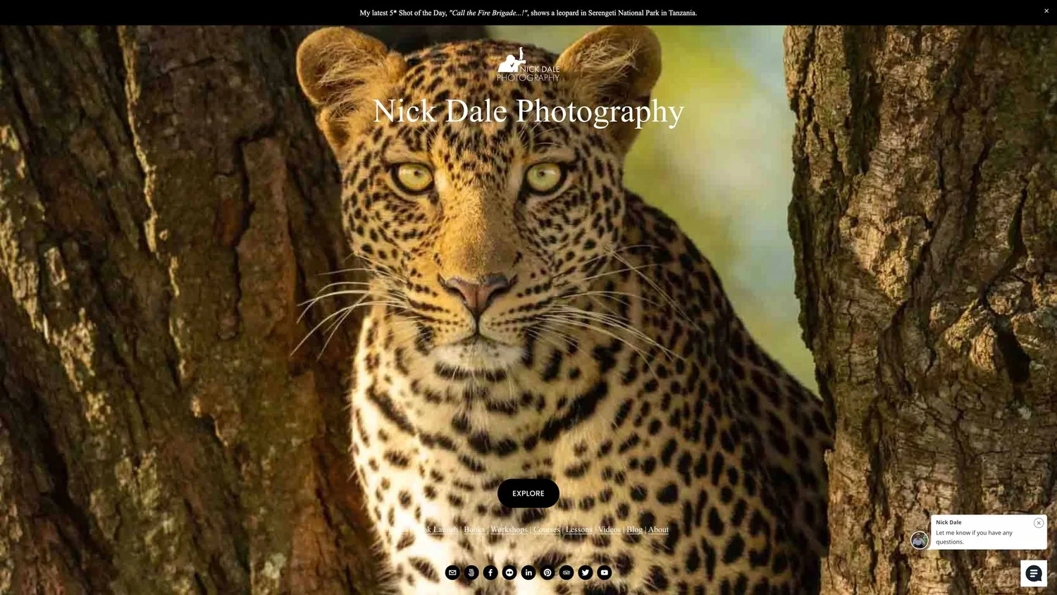How to Build a Photo Portfolio — Nick Dale Photography