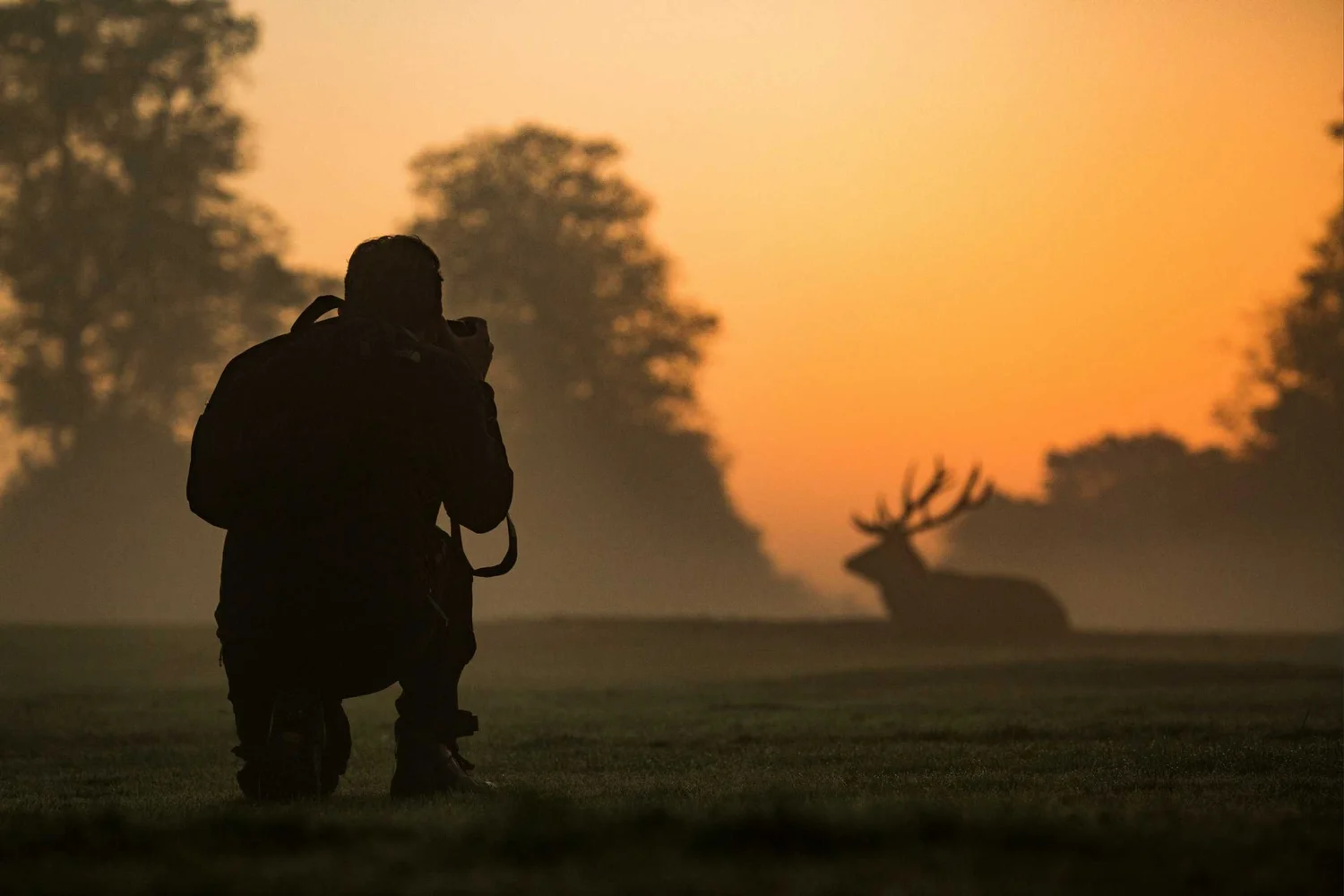 Blog — Nick Dale Photography