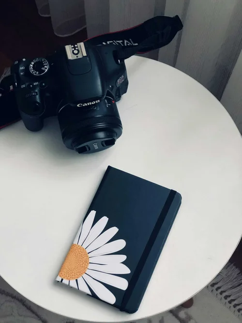 Why Photographers Should Keep a Shooting Journal—and What to Write in ...