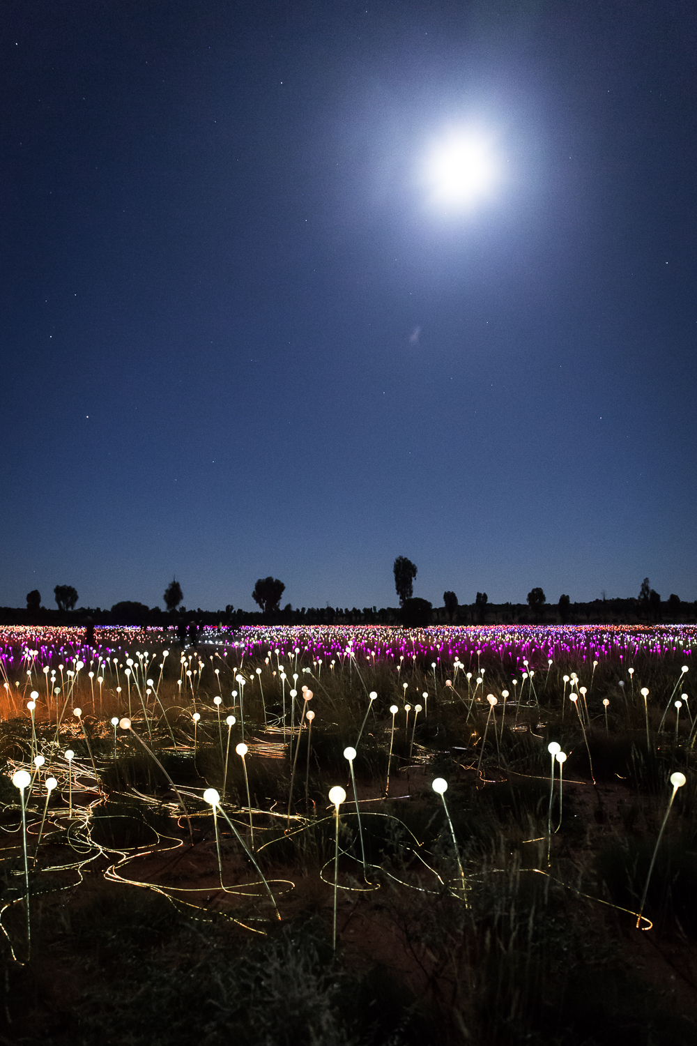 Uluru- Kata Tjuta — lean timms