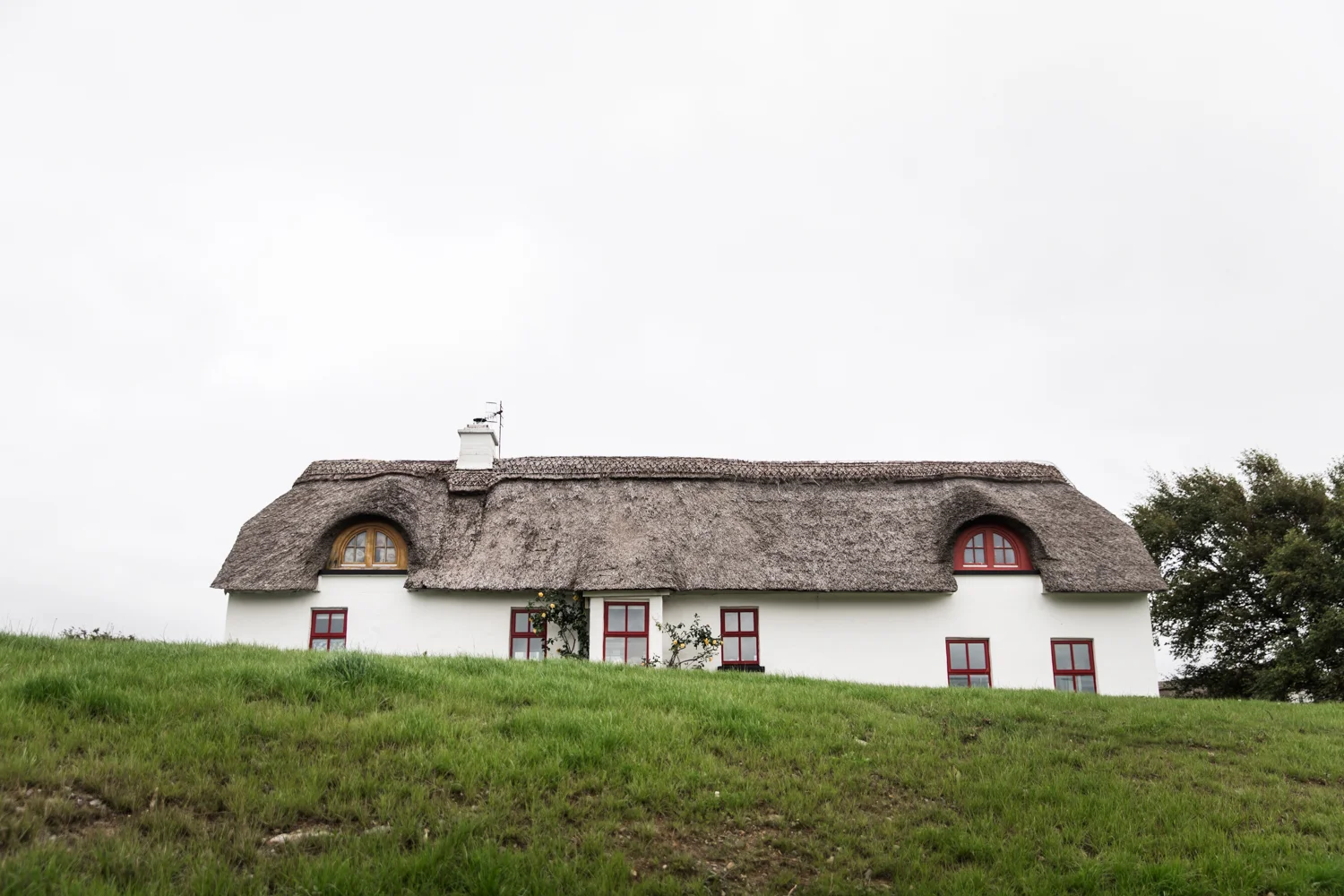 Ireland with Clare & Danny — lean timms