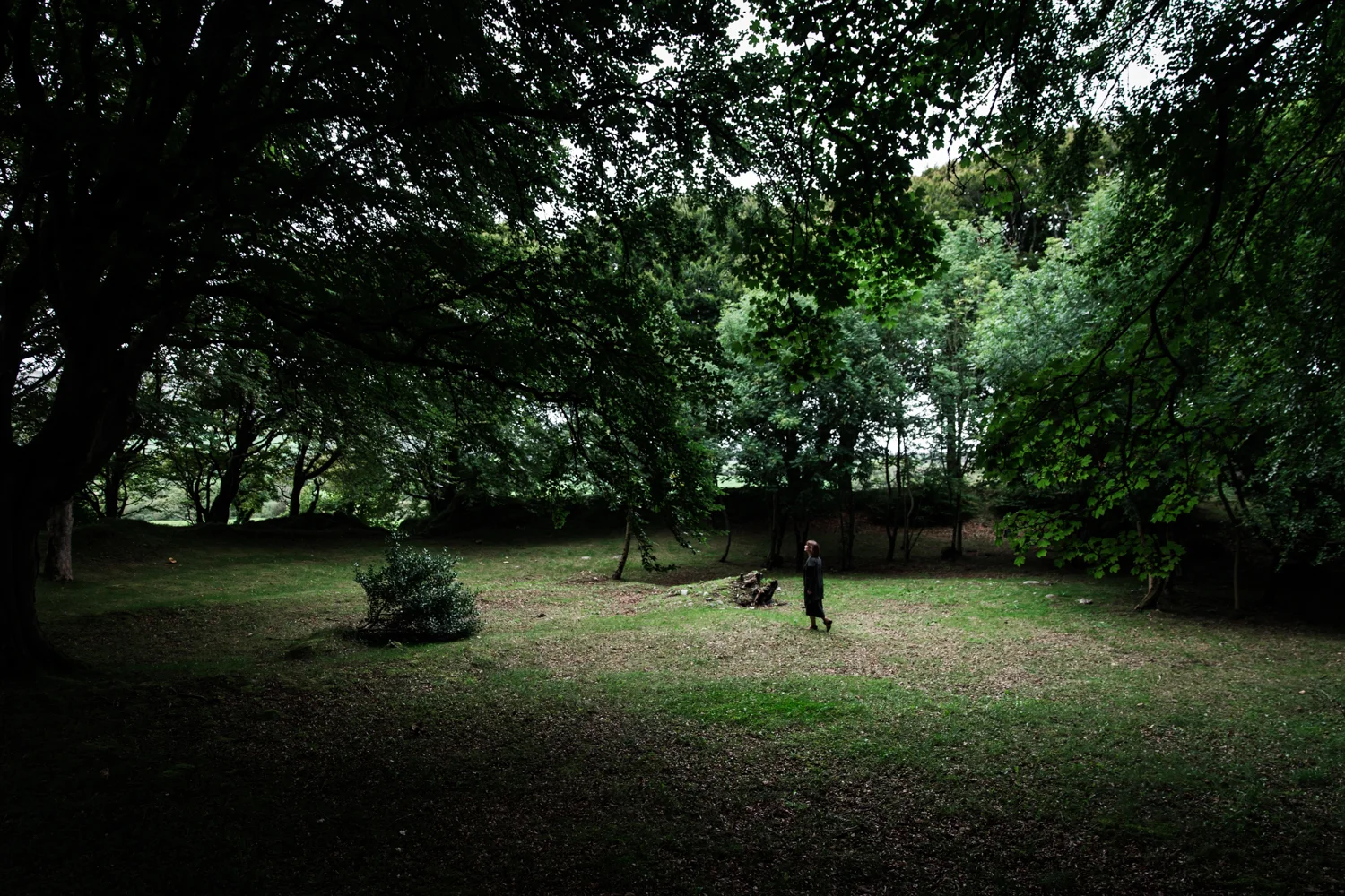 Ireland with Clare & Danny — lean timms