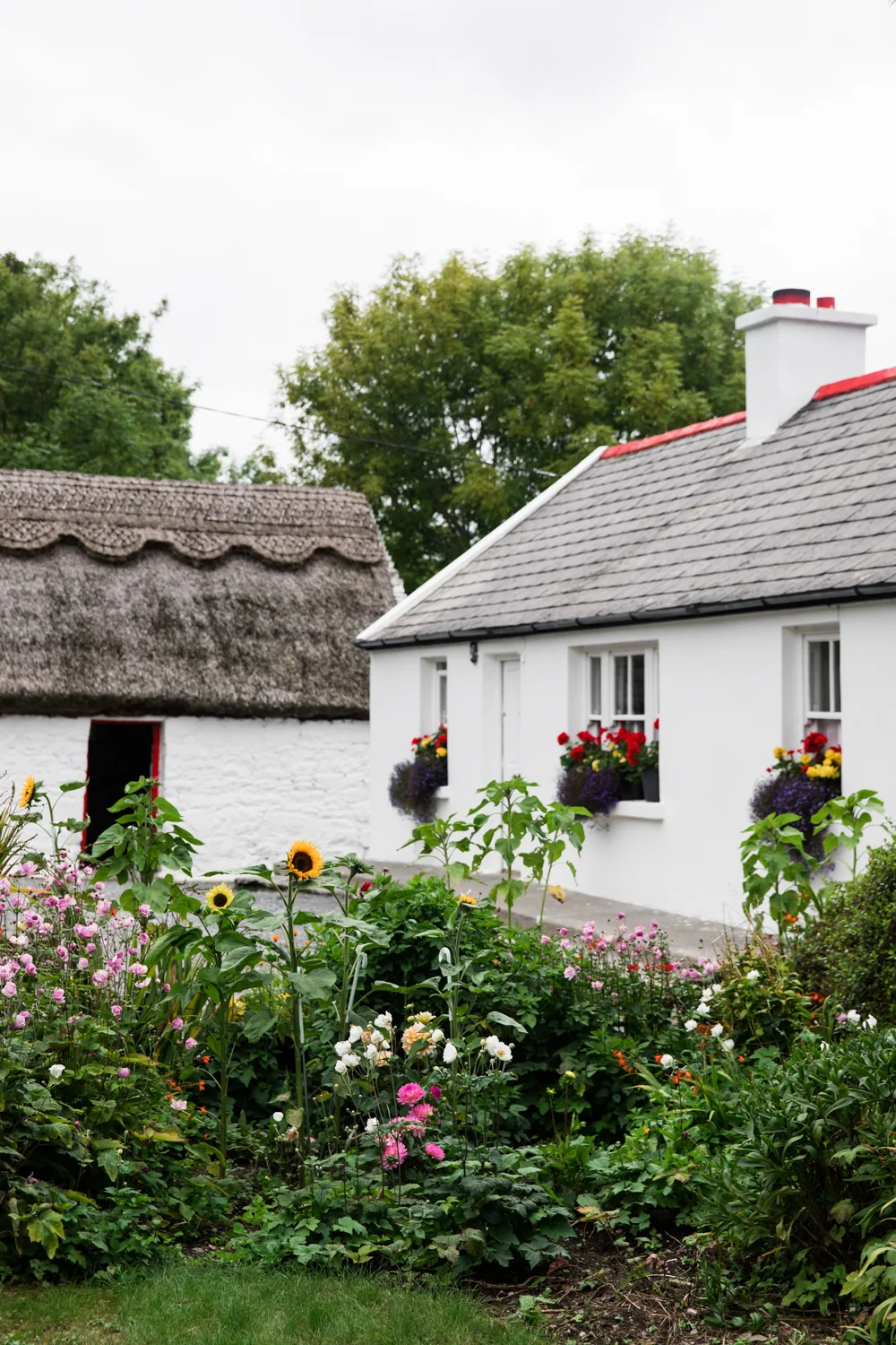Ireland with Clare & Danny — lean timms
