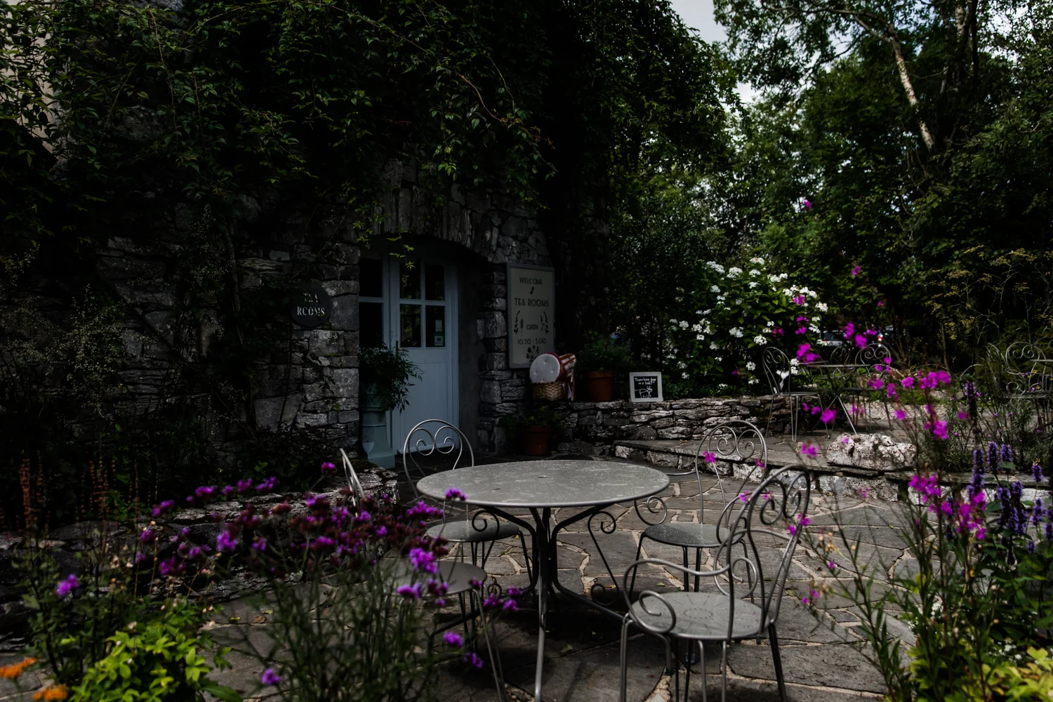 Ireland with Clare & Danny — lean timms