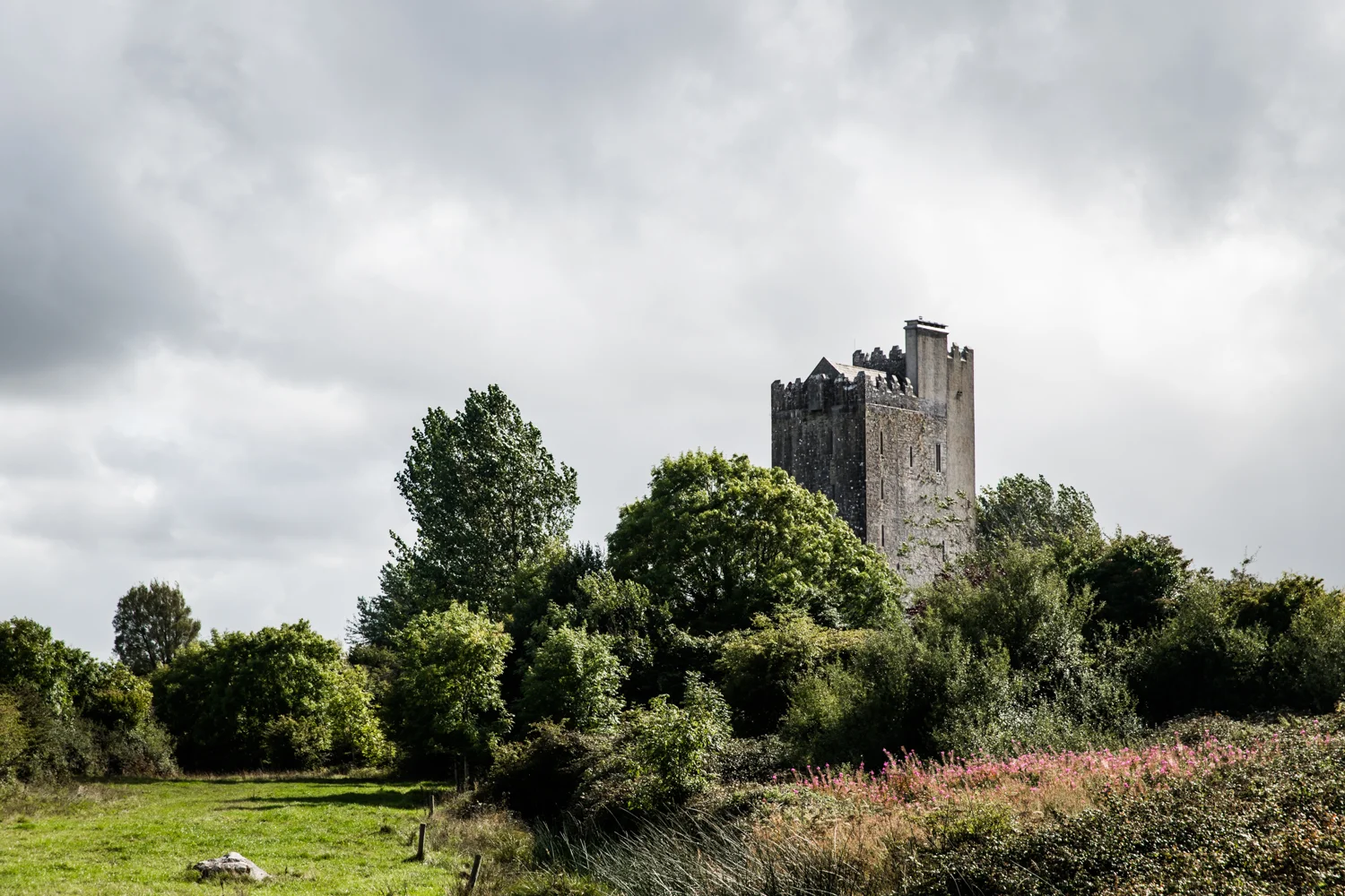 Ireland with Clare & Danny — lean timms