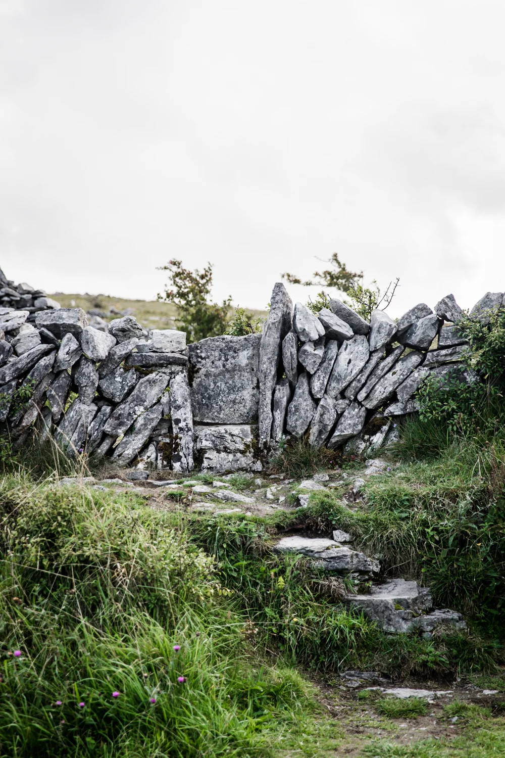 Ireland with Clare & Danny — lean timms