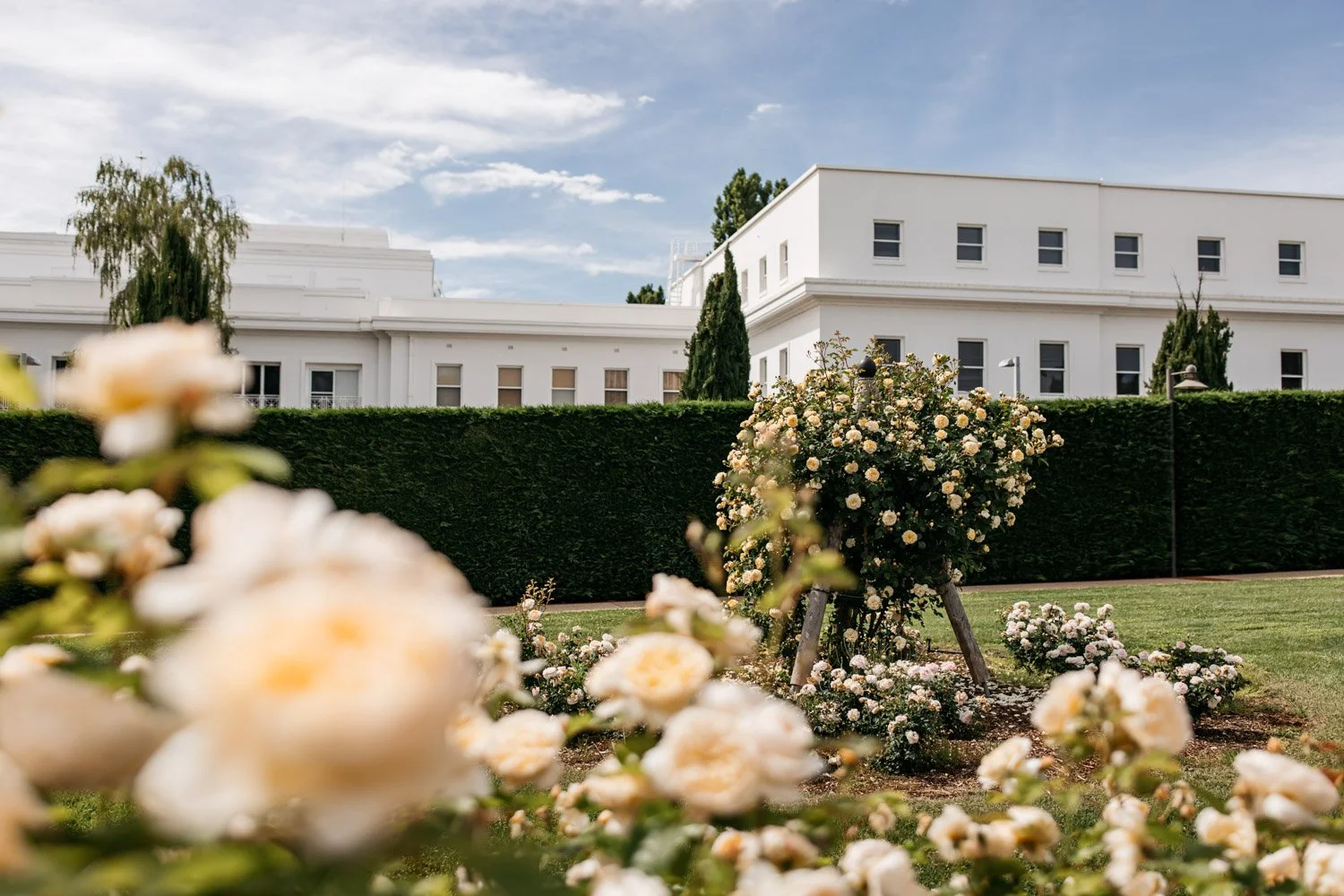 Canberra — lean timms