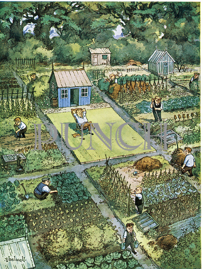 The Foraged Seed — SLACK FARMS