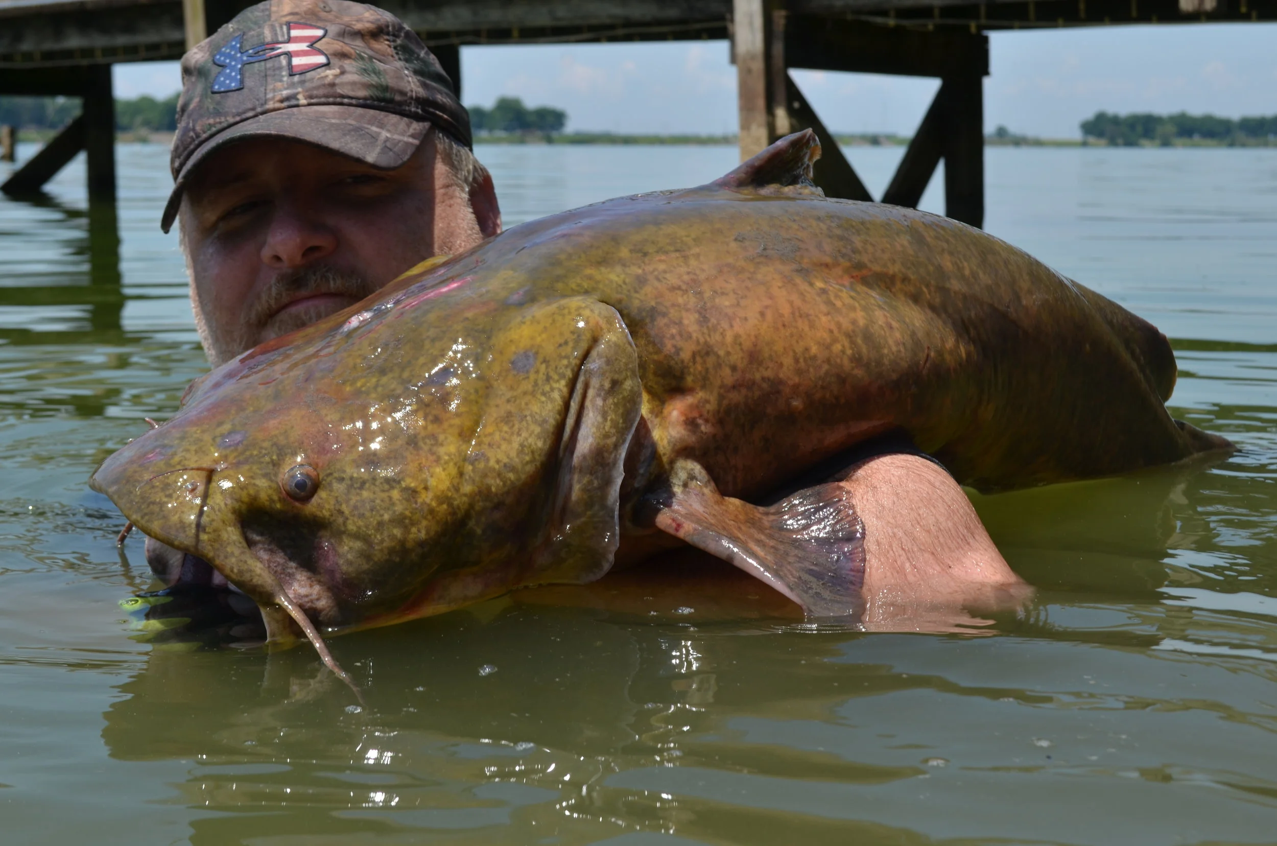 Noodling Catfish